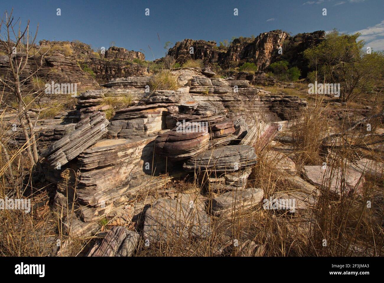 Landscape at Bardedjilidji Walk in Jabiru region in Kakadu National ...