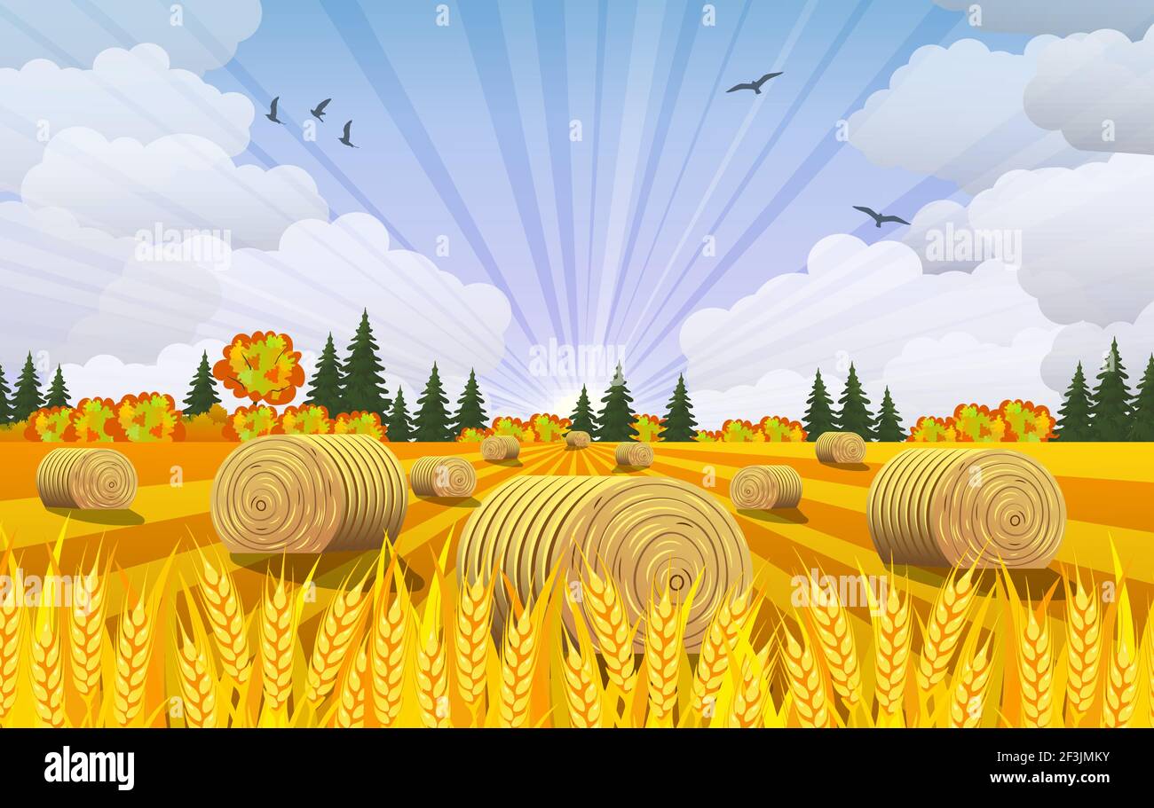 Cartoon farmer wheat land Stock Vector Images - Alamy