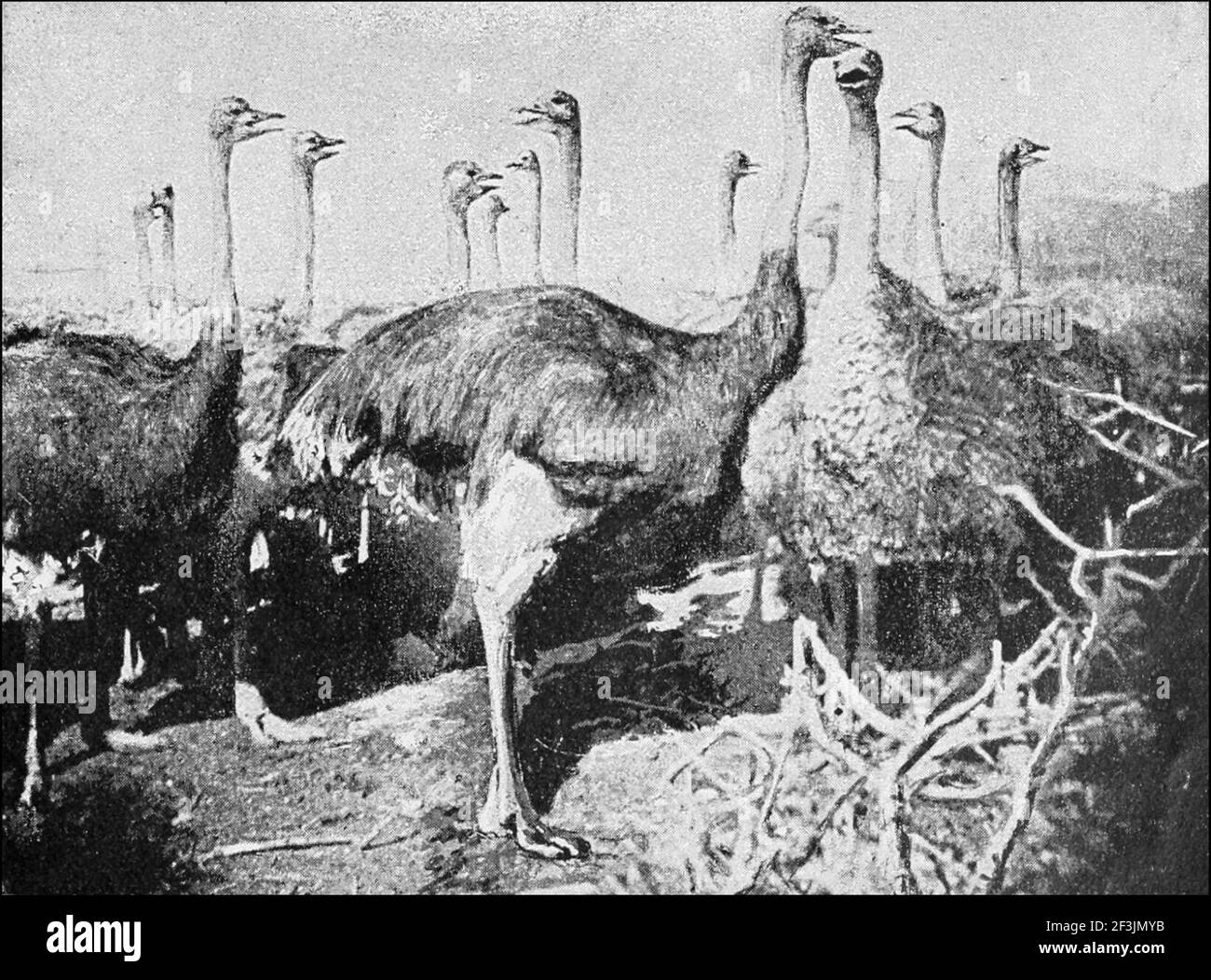 Hot wind Black and White Stock Photos & Images - Alamy