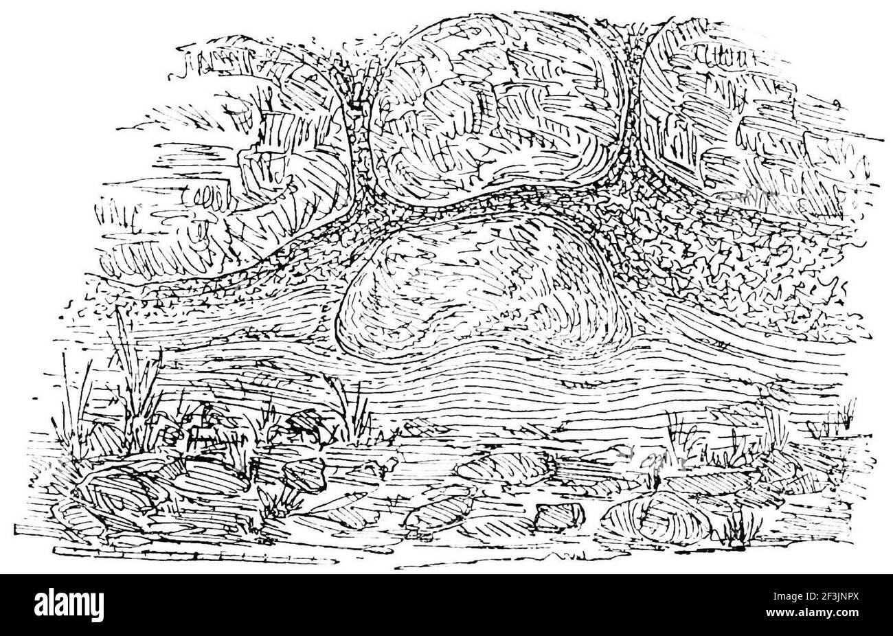 Under mud Cut Out Stock Images & Pictures - Alamy