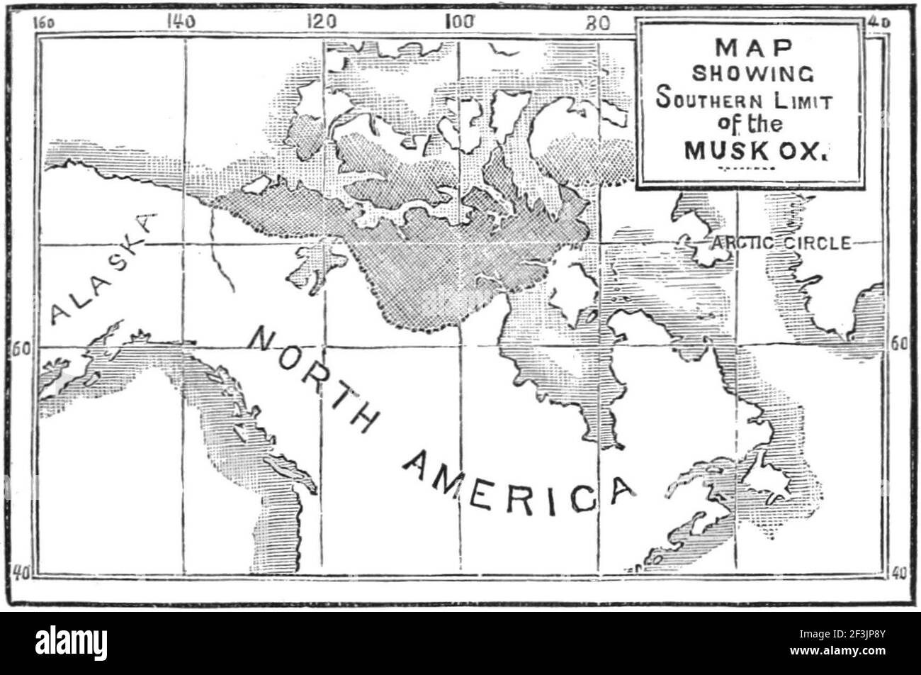 Map showing the southern range limit of the musk ox Stock Photo - Alamy