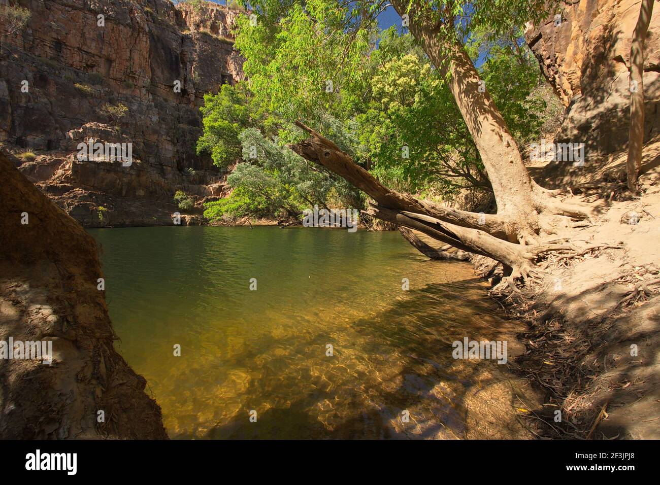 Butterfly gorge nature park hi-res stock photography and images - Alamy