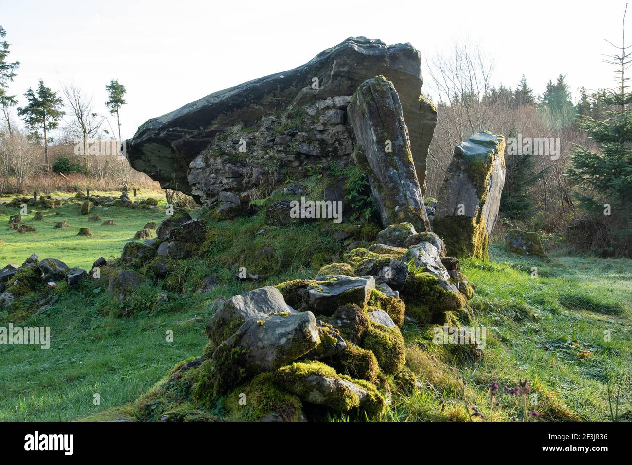 Cavan Burren Park, Geopark, Blacklion, Ireland Stock Photo - Alamy