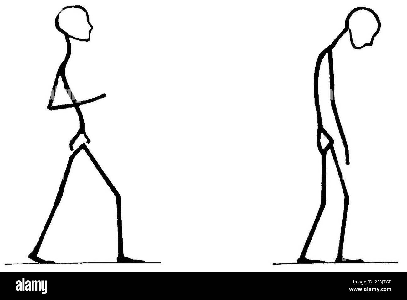 Thereof hi-res stock photography and images - Alamy