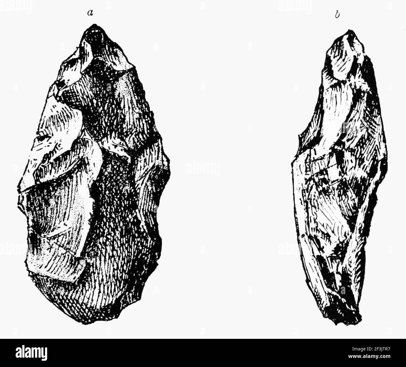 Chipped pebble of black chert Stock Photo - Alamy