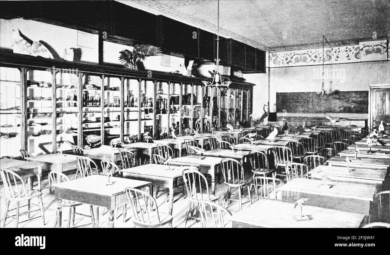 Zoological laboratory hi-res stock photography and images - Alamy