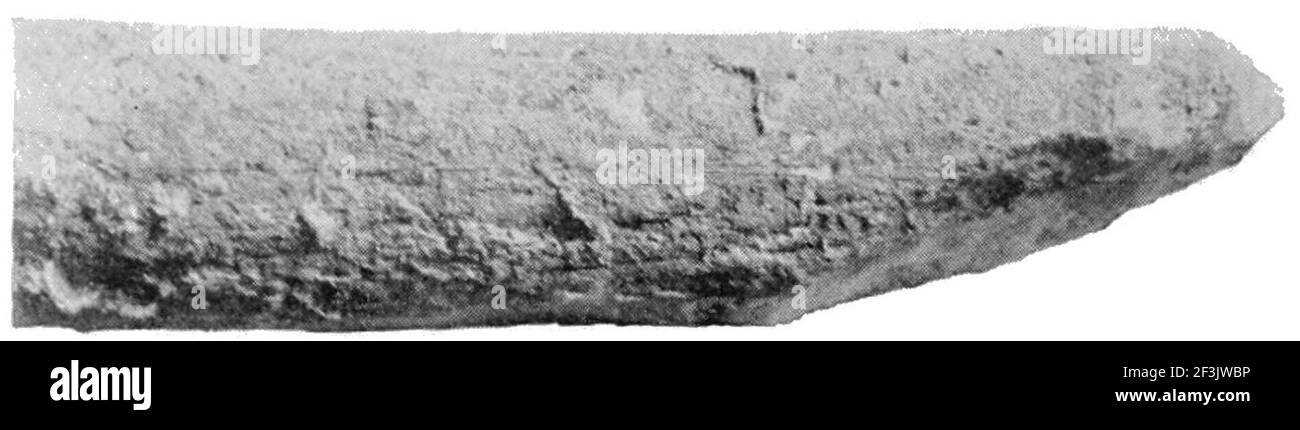 Pointed cast showing the stone tool marks Stock Photo - Alamy