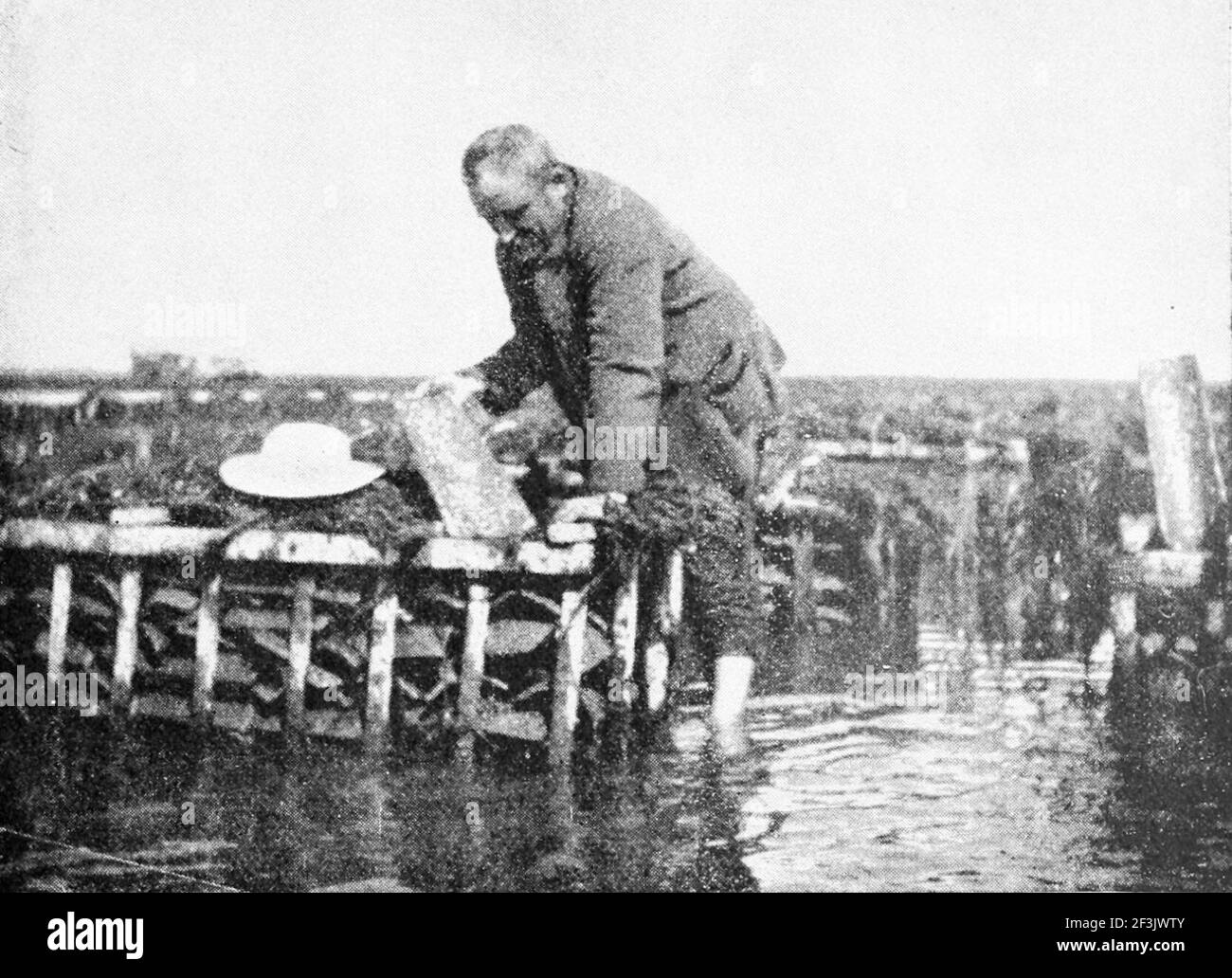 Oyster spat hi-res stock photography and images - Alamy