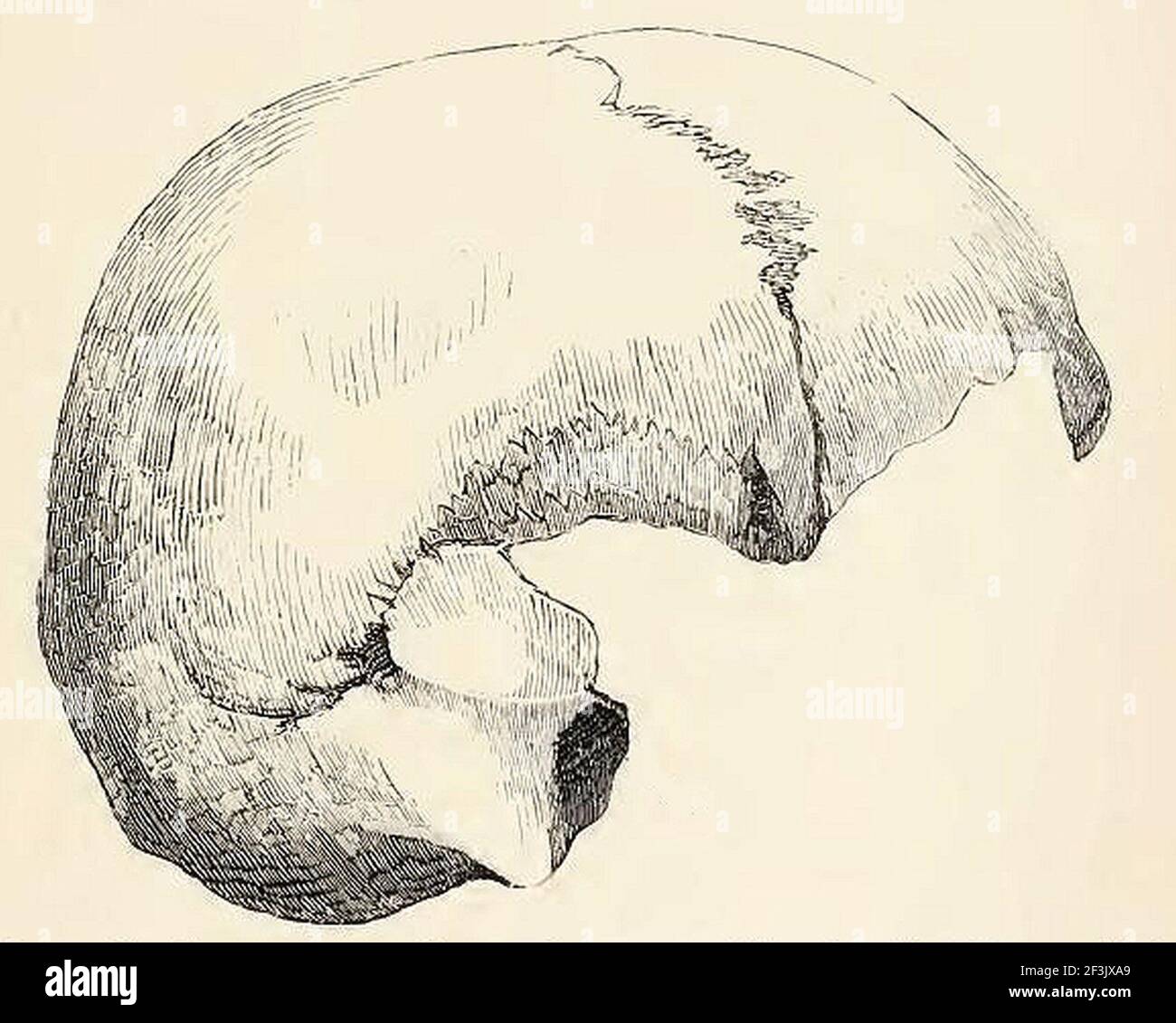 Engis hi-res stock photography and images - Alamy