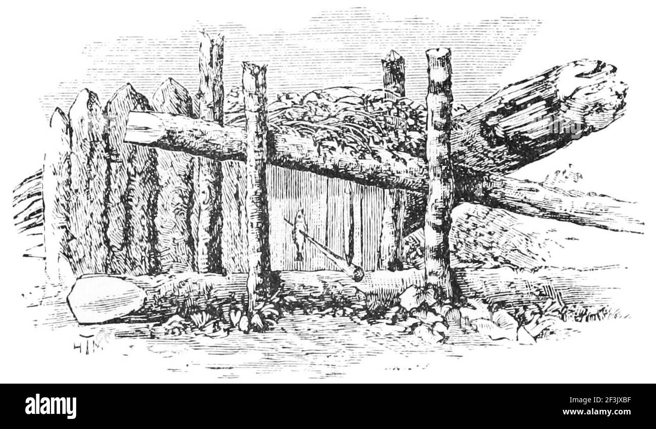 Deadfall High Resolution Stock Photography and Images - Alamy