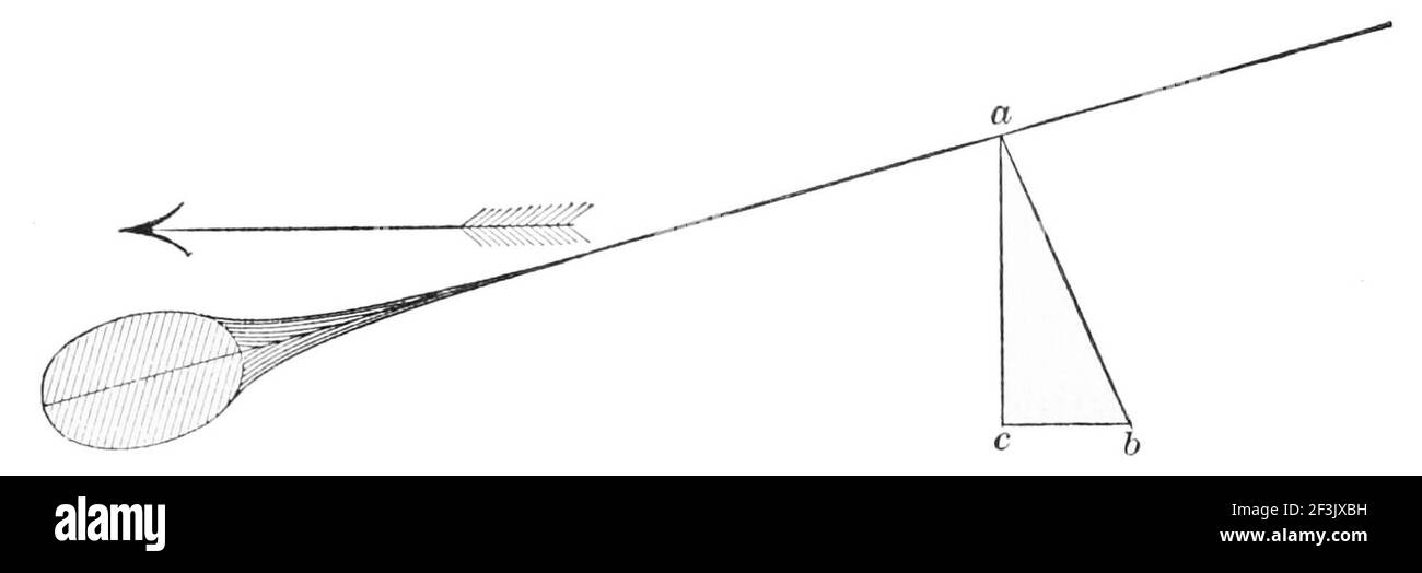 Diagrammatic cross section of a bird wing during downstroke Stock Photo ...