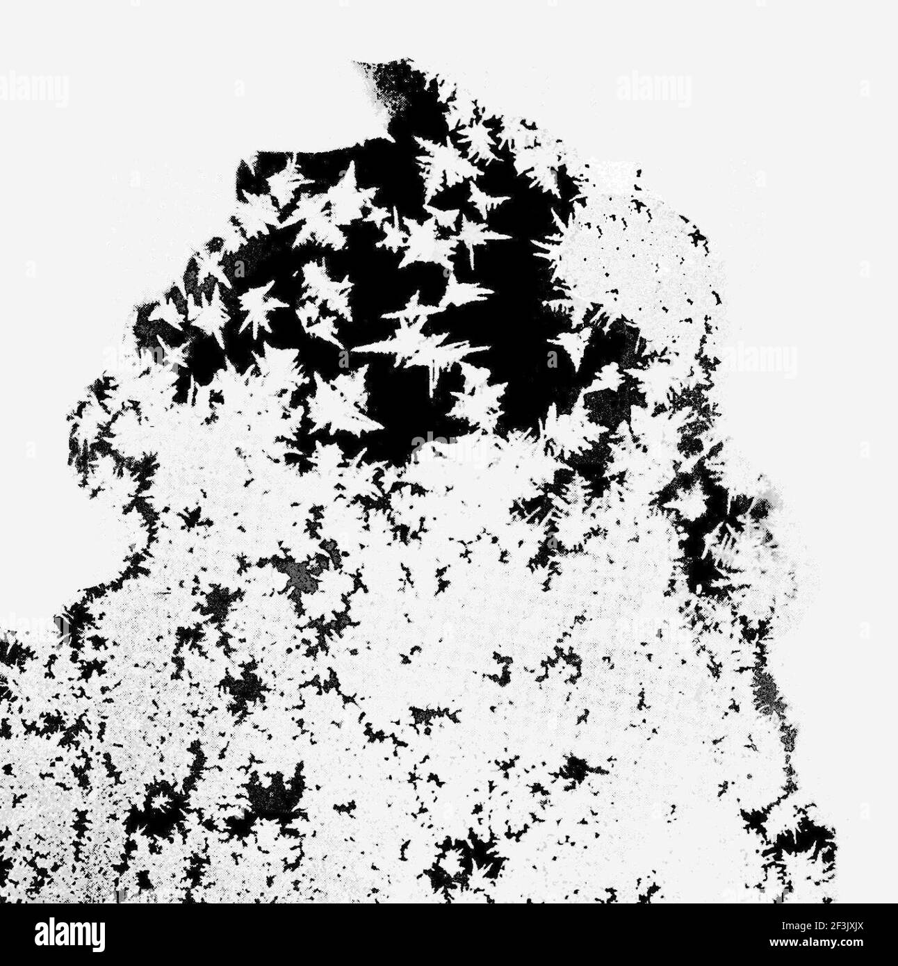 Frost formation in lower temperature range Stock Photo - Alamy