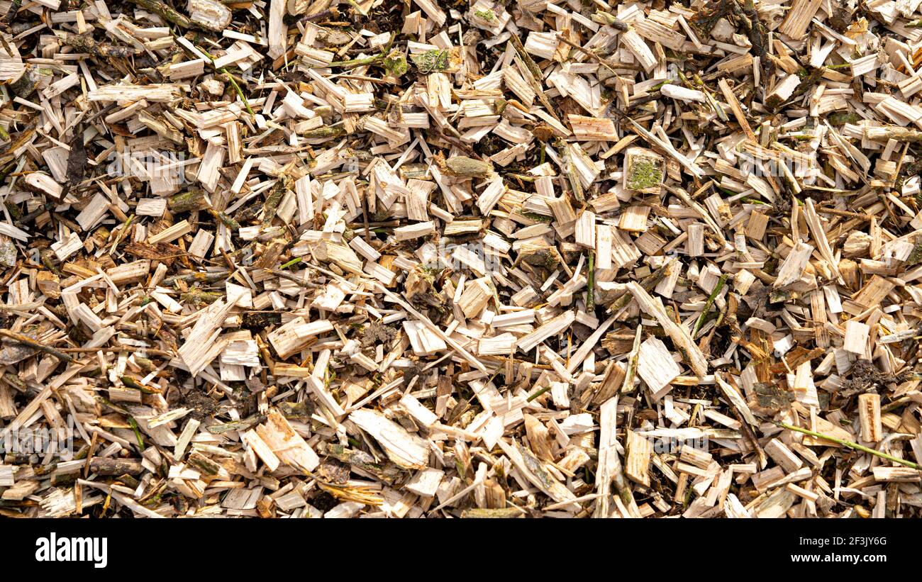 Wood chippings sawdust offcuts overhead view for natural textured ...