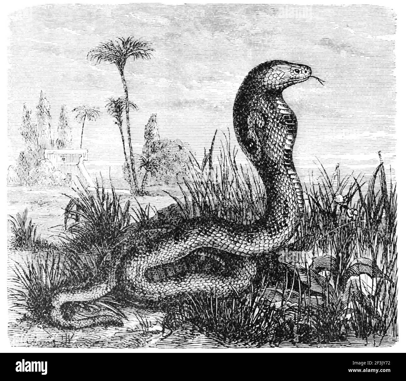 Capello Black and White Stock Photos & Images - Alamy