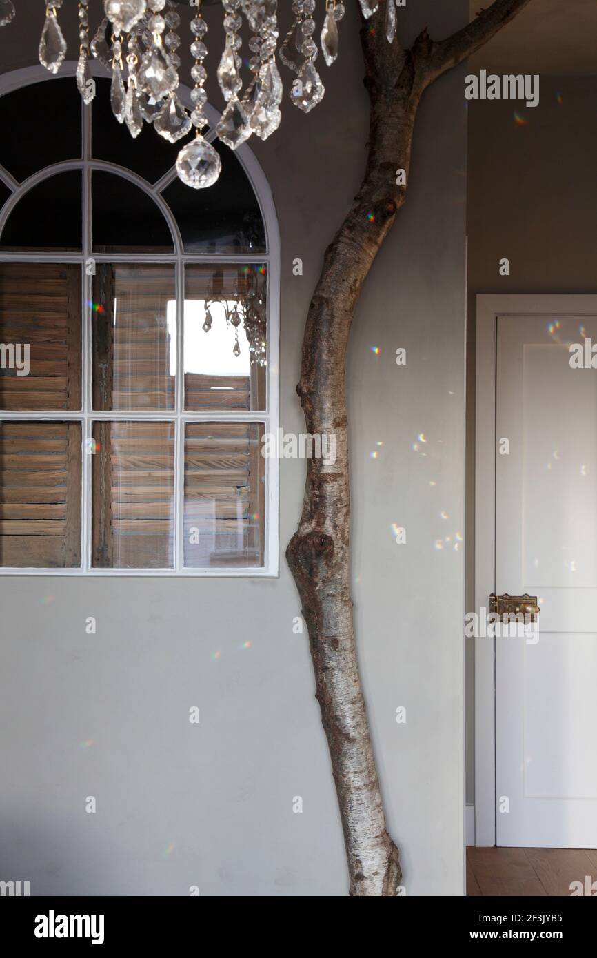 Bedroom with arched window to ensuite bathroom, a birch tree, and ...