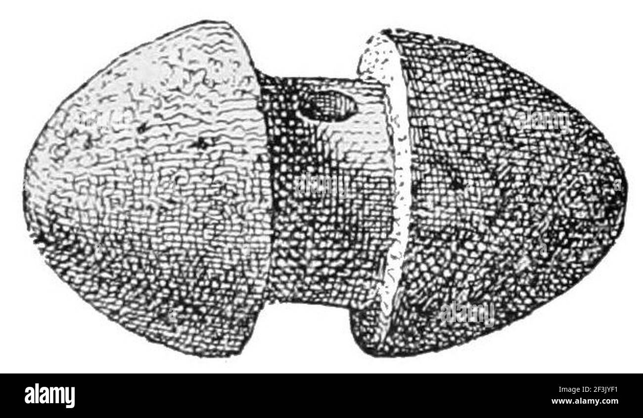 Miniature hammer from amber Stock Photo - Alamy