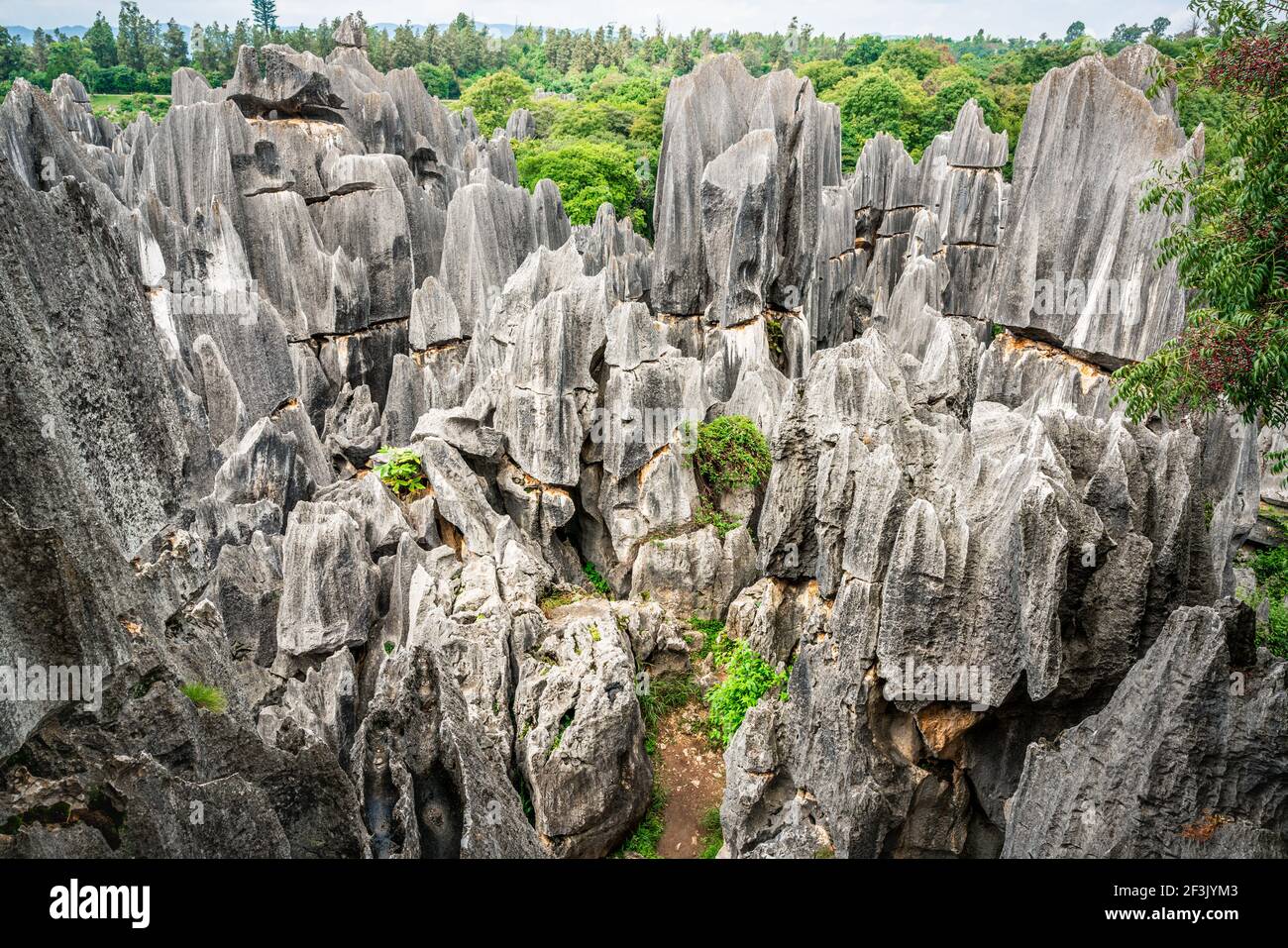 Top scenic panorama of Shilin major stone forest park in Yunnan China ...