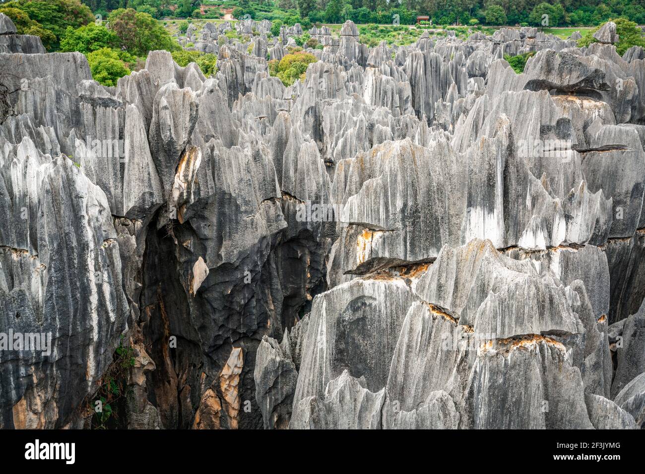 Full frame scenic view of Shilin major limestone rock formations in ...