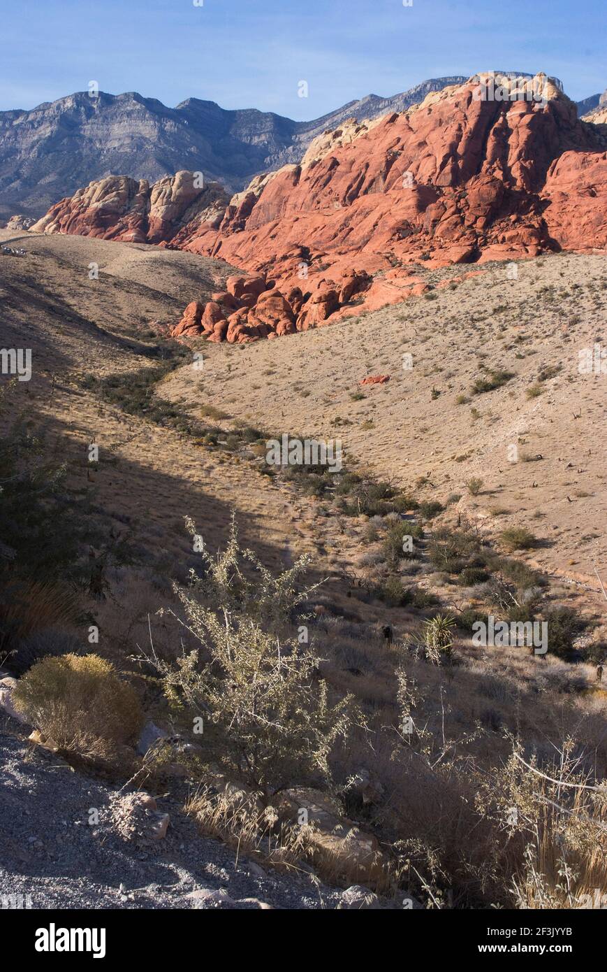 Red Rock National Conservation Area, Las Vegas, Nevada, United States ...