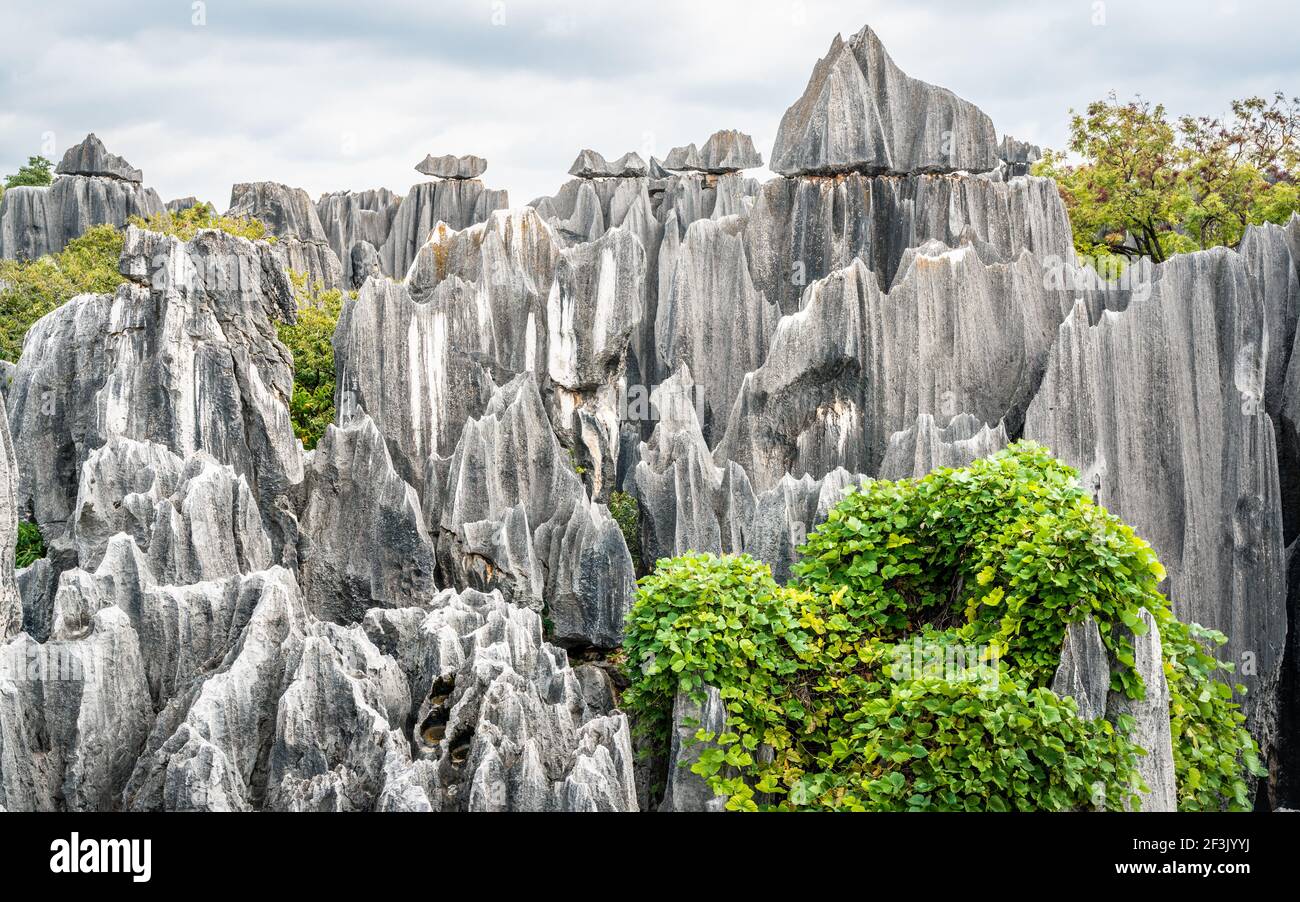 Limestone Rock Formation