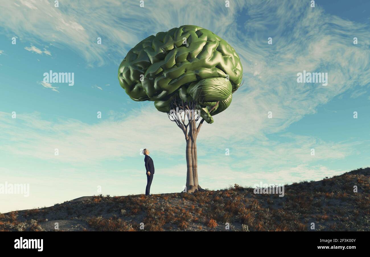 Human brain tree hi-res stock photography and images - Alamy