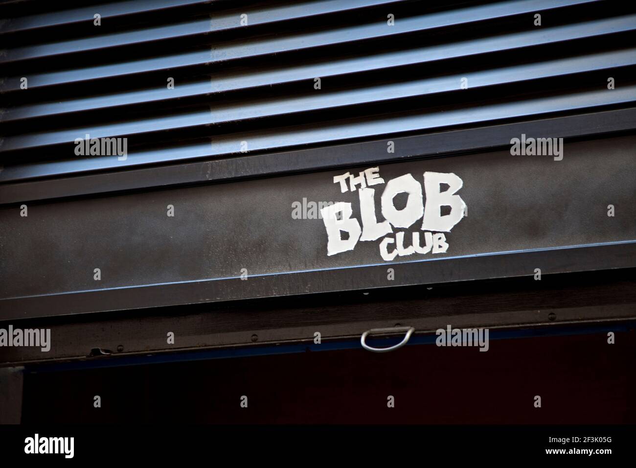 The Blob Club sign on a metal shutter, Florence Stock Photo - Alamy