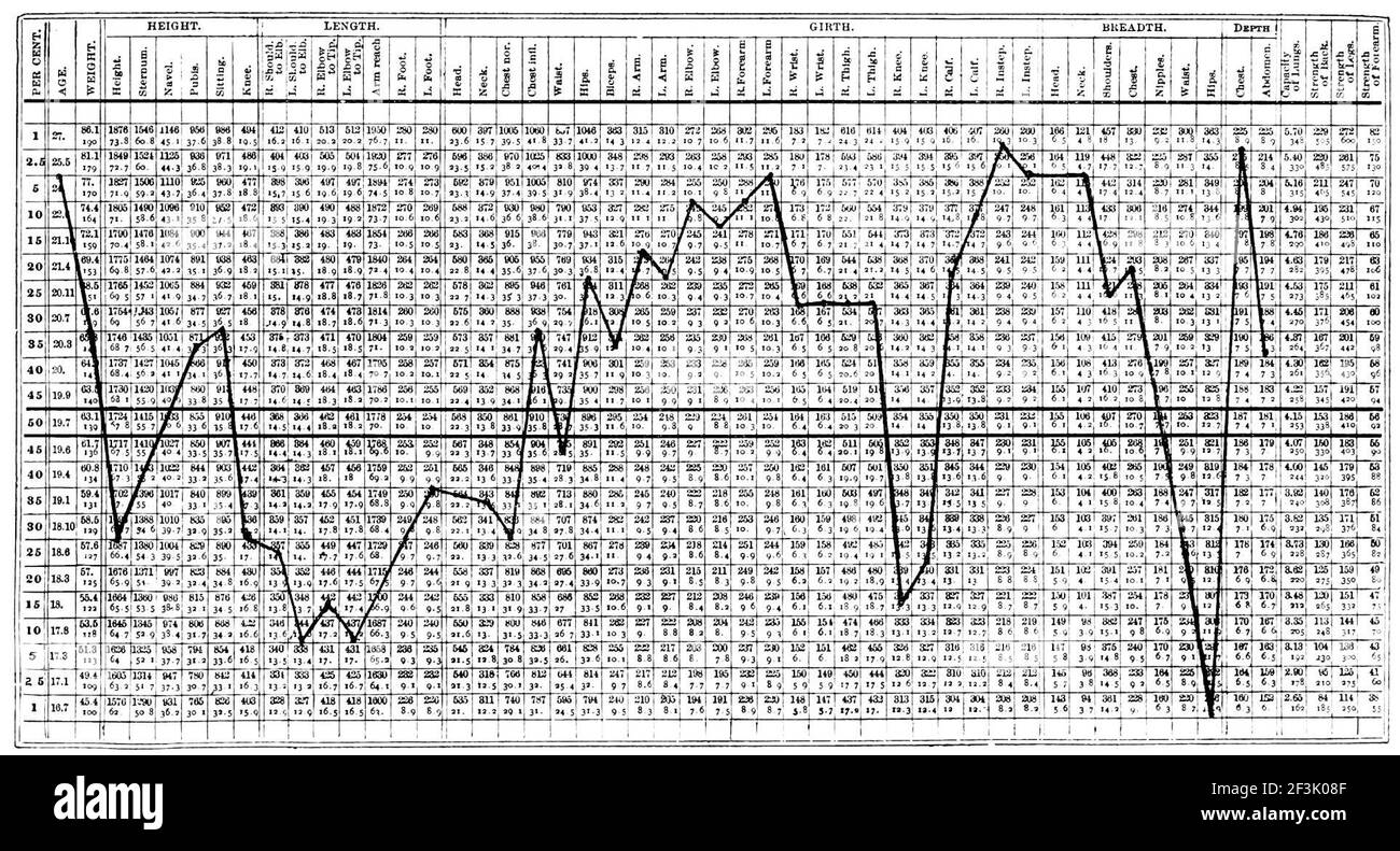 Anthropometric hi-res stock photography and images - Alamy