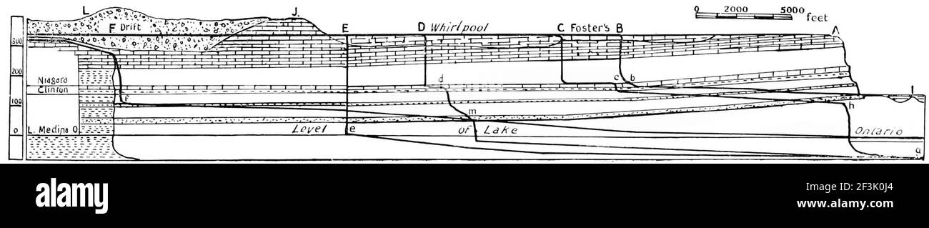Longitudinal section showing hi-res stock photography and images - Alamy