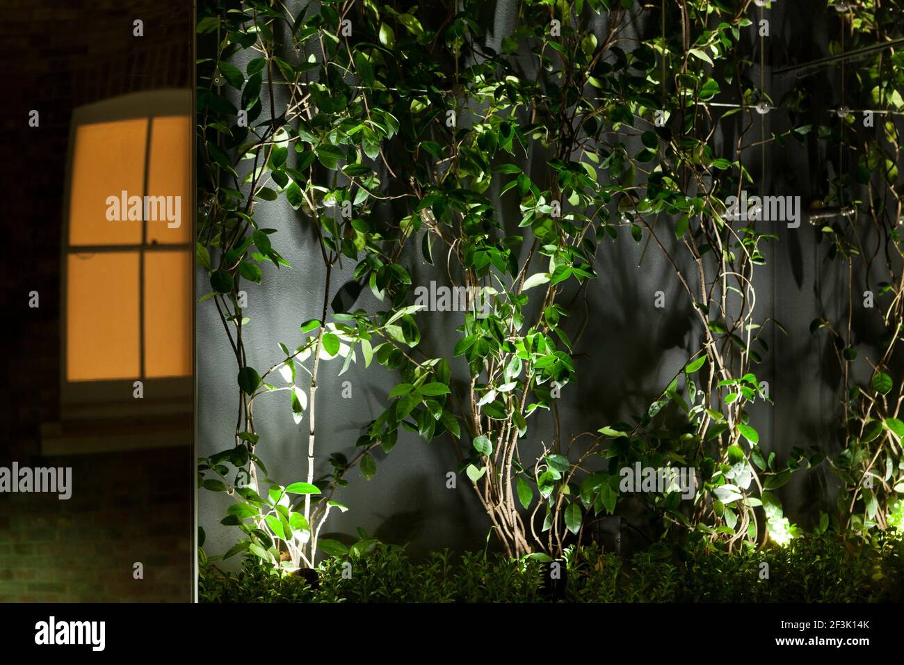 Small enclosed courtyard garden in the Regent's Park area of central ...