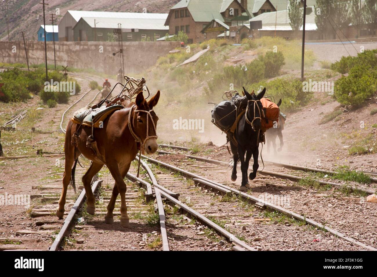 Punta Del inca Stock Photo - Alamy