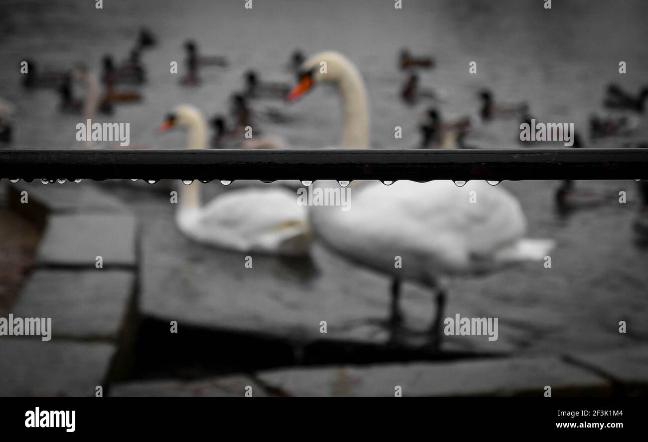 Young pit waterfall hi-res stock photography and images - Alamy