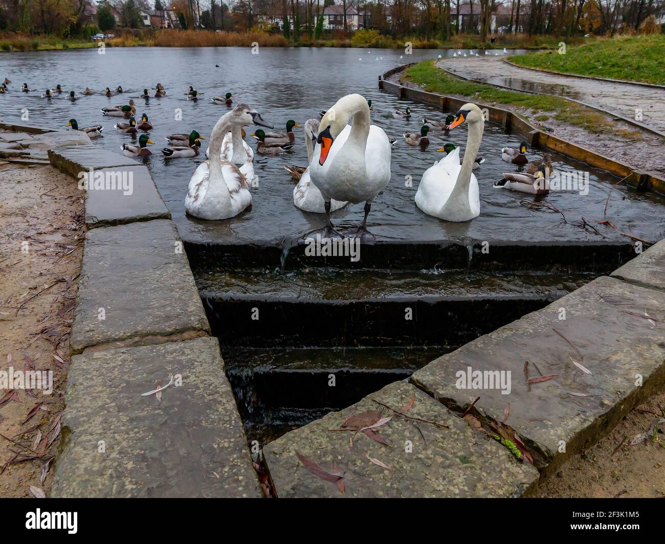 Young pit waterfall hi-res stock photography and images - Alamy