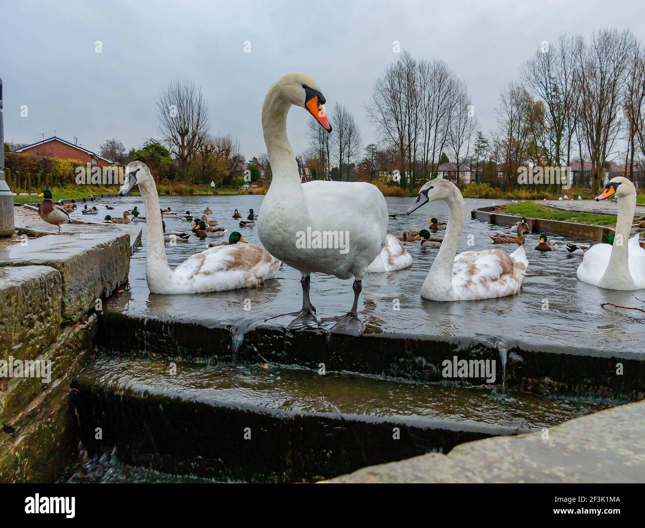 Ackers Pit High Resolution Stock Photography and Images - Alamy