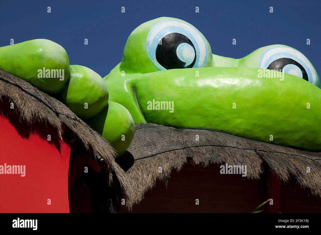 Senor Frog's bar and restaurant detail, Cancun, Mexico Stock Photo - Alamy