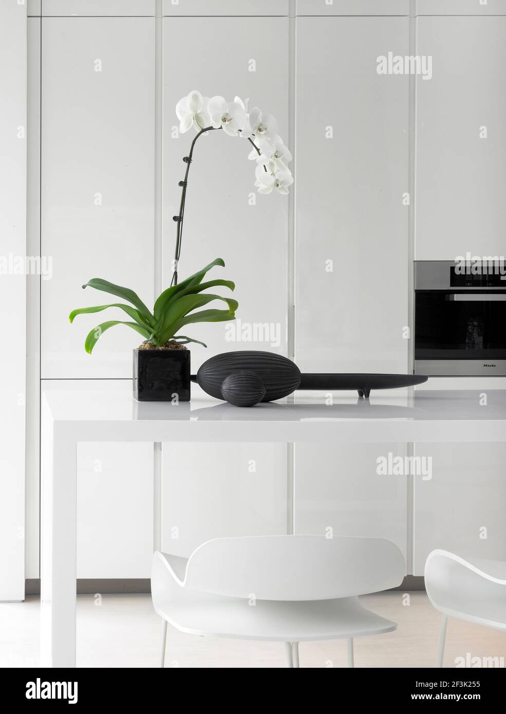 Detail of modern kitchen, 9 Ridout Rd, Singapore Stock Photo - Alamy