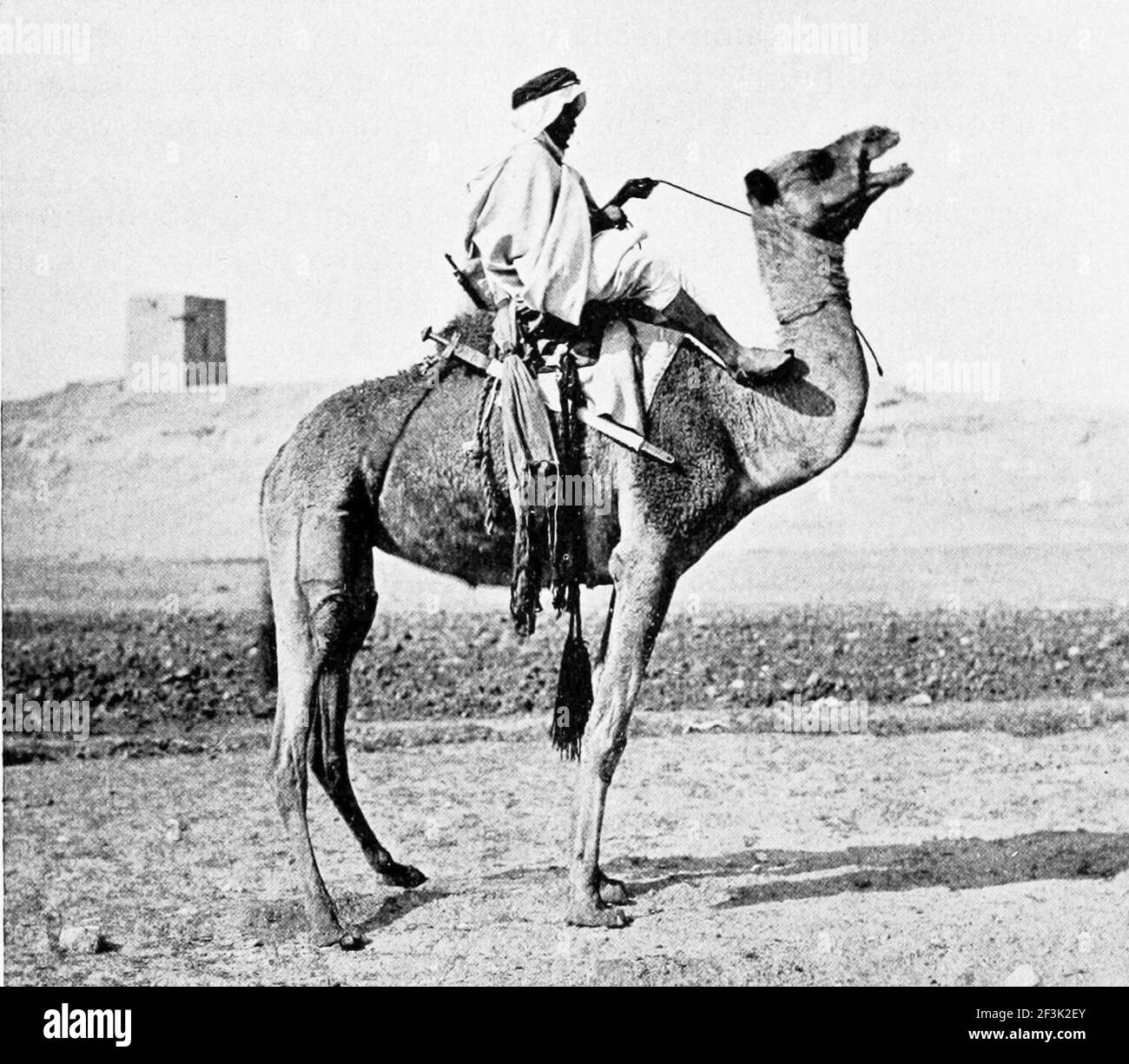 Leader of the caravan Stock Photo - Alamy