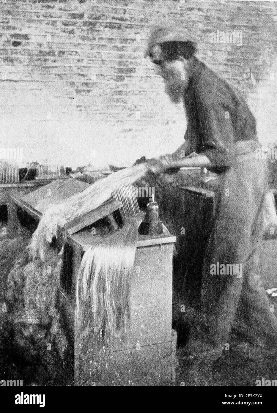 Hackling hi-res stock photography and images - Alamy