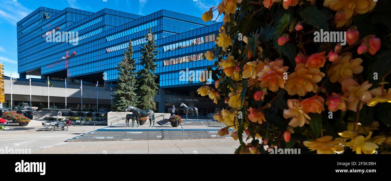 Calgary municipal building hi-res stock photography and images - Alamy
