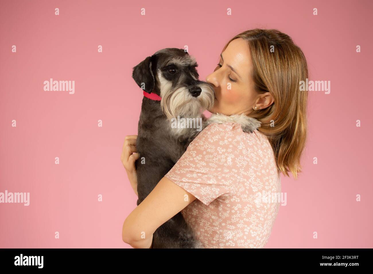 Cute young woman hugs her puppy schnauzer dog. Love between owner and ...