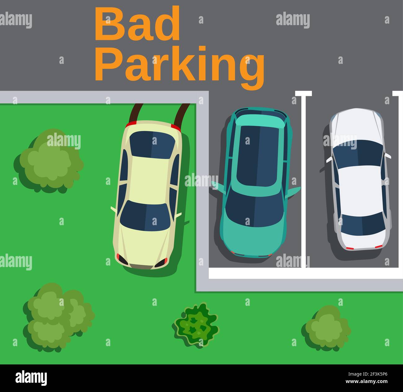 Tree damage pavement Stock Vector Images - Alamy