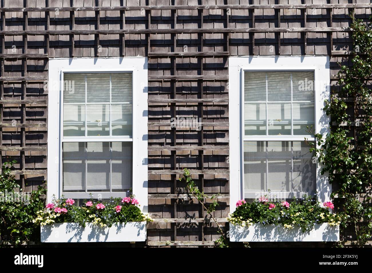 A trellis covered facade of a clapboard cottage in Siasconset Village ...