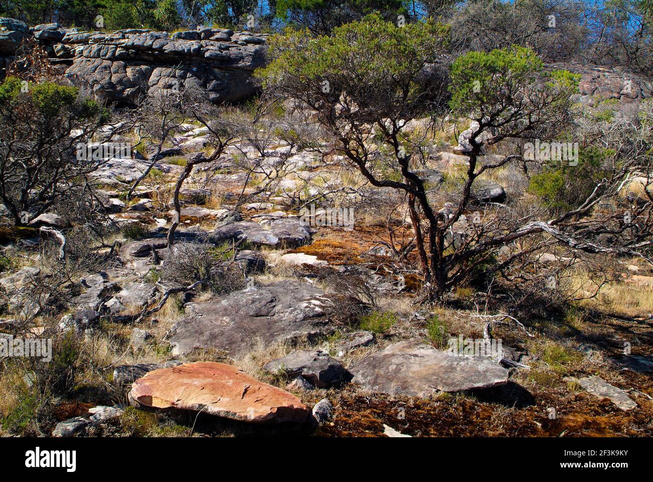 Australia, natural landscape in Grampians National Park, Victoria Stock ...