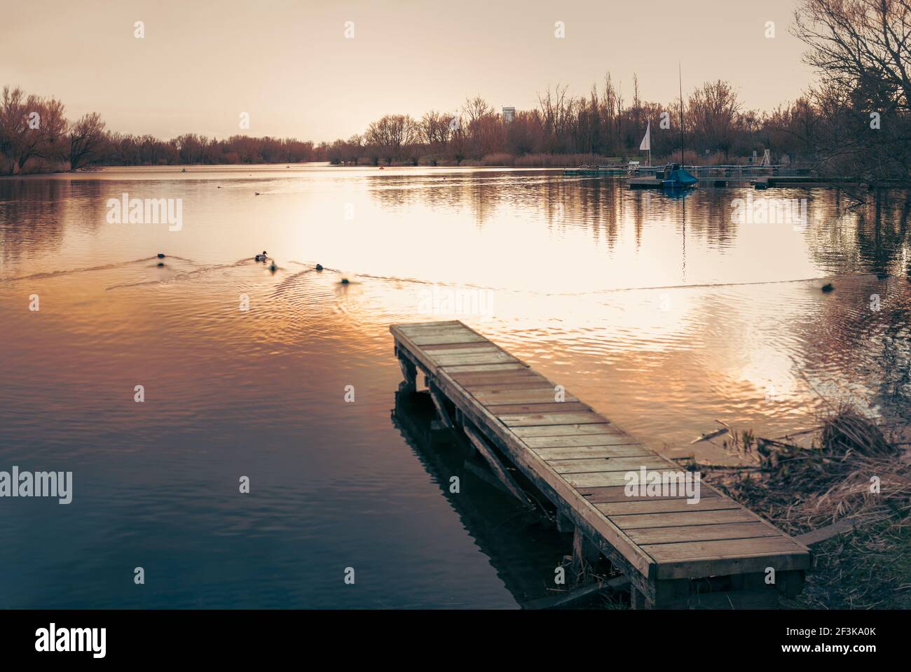 A jetty on the lake with sunset in front of a tree siluette Stock Photo ...