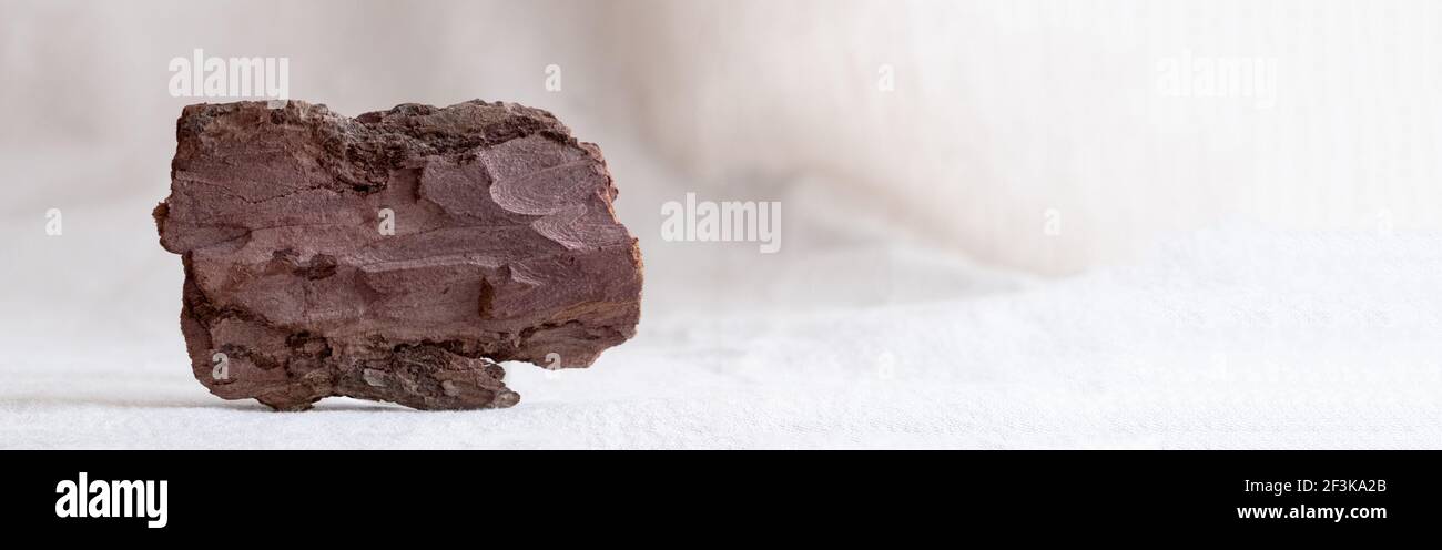 Banner. Natural stand of bark tree for presentation and exhibitions on ...