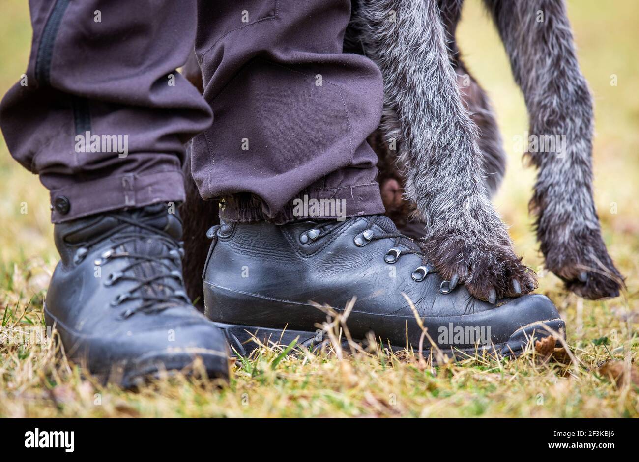 Cadaver dog handlers hi-res stock photography and images - Alamy