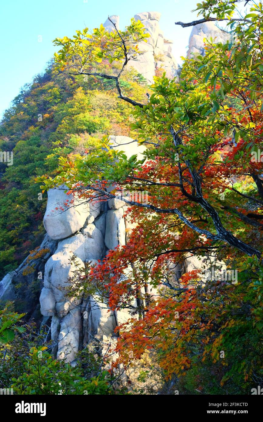Bukhansan National Park Stock Photo - Alamy