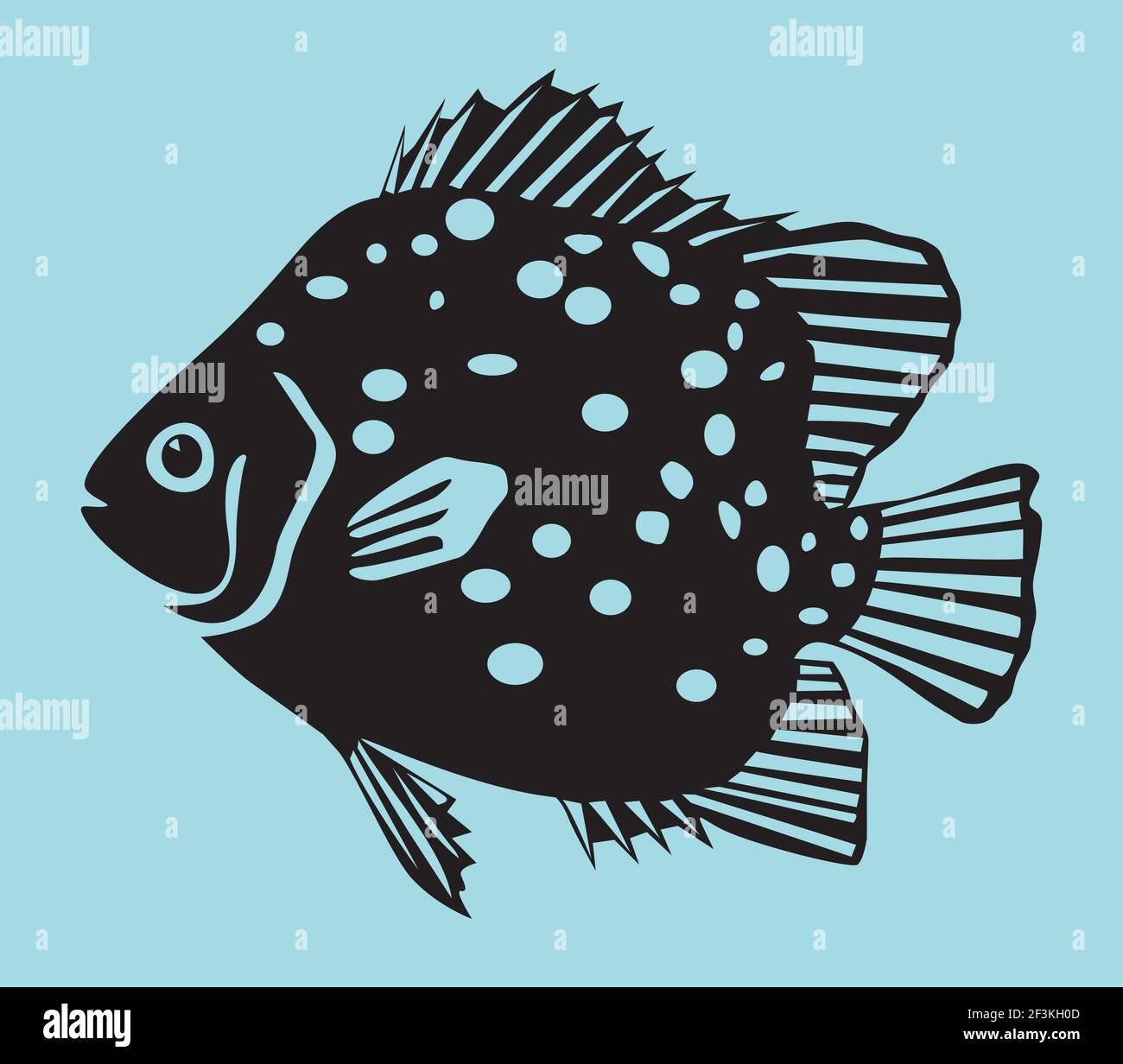 Spotted Scat Fish. Vector illustration Stock Vector Image & Art - Alamy