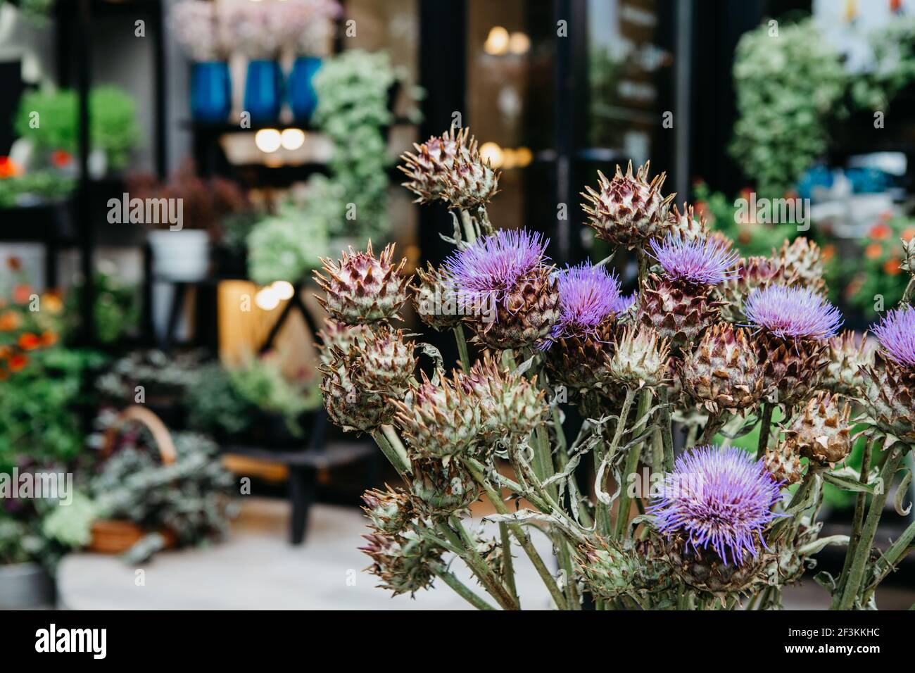 Modern flower hi-res stock photography and images - Alamy