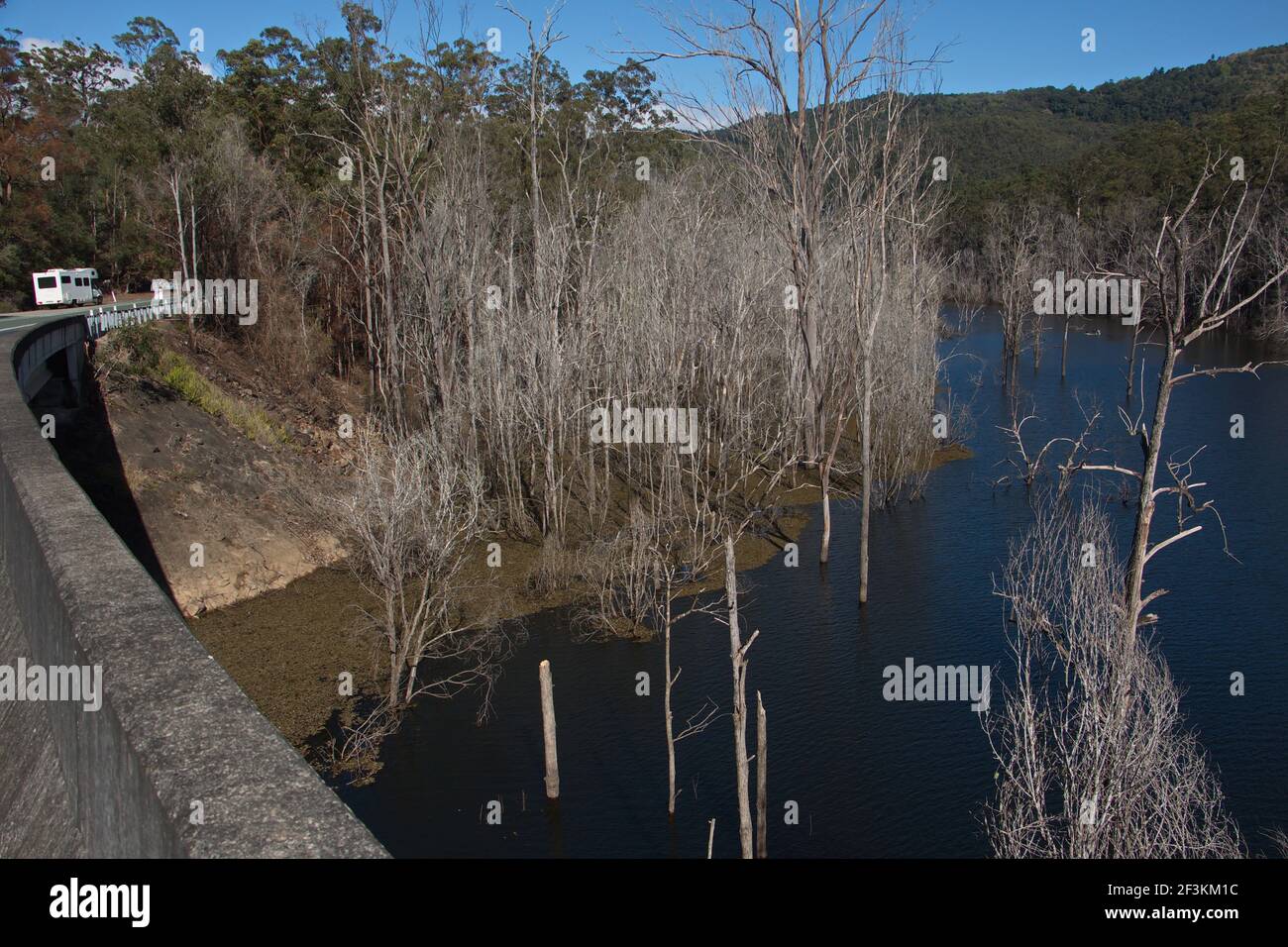 Pine Creek Bridge over Nerang River in Queensland, Australia Stock ...