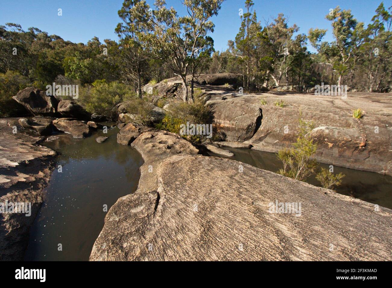 Girraween landscape hi-res stock photography and images - Alamy